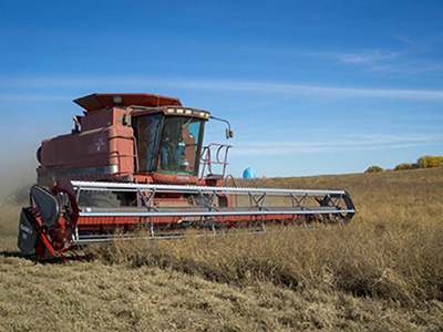 Photos & Reviews – Jed’s Alfalfa Sales