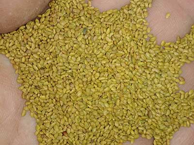 Photos & Reviews – Jed’s Alfalfa Sales